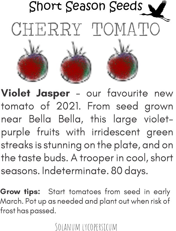 violet jasper – WoodGrain Farm